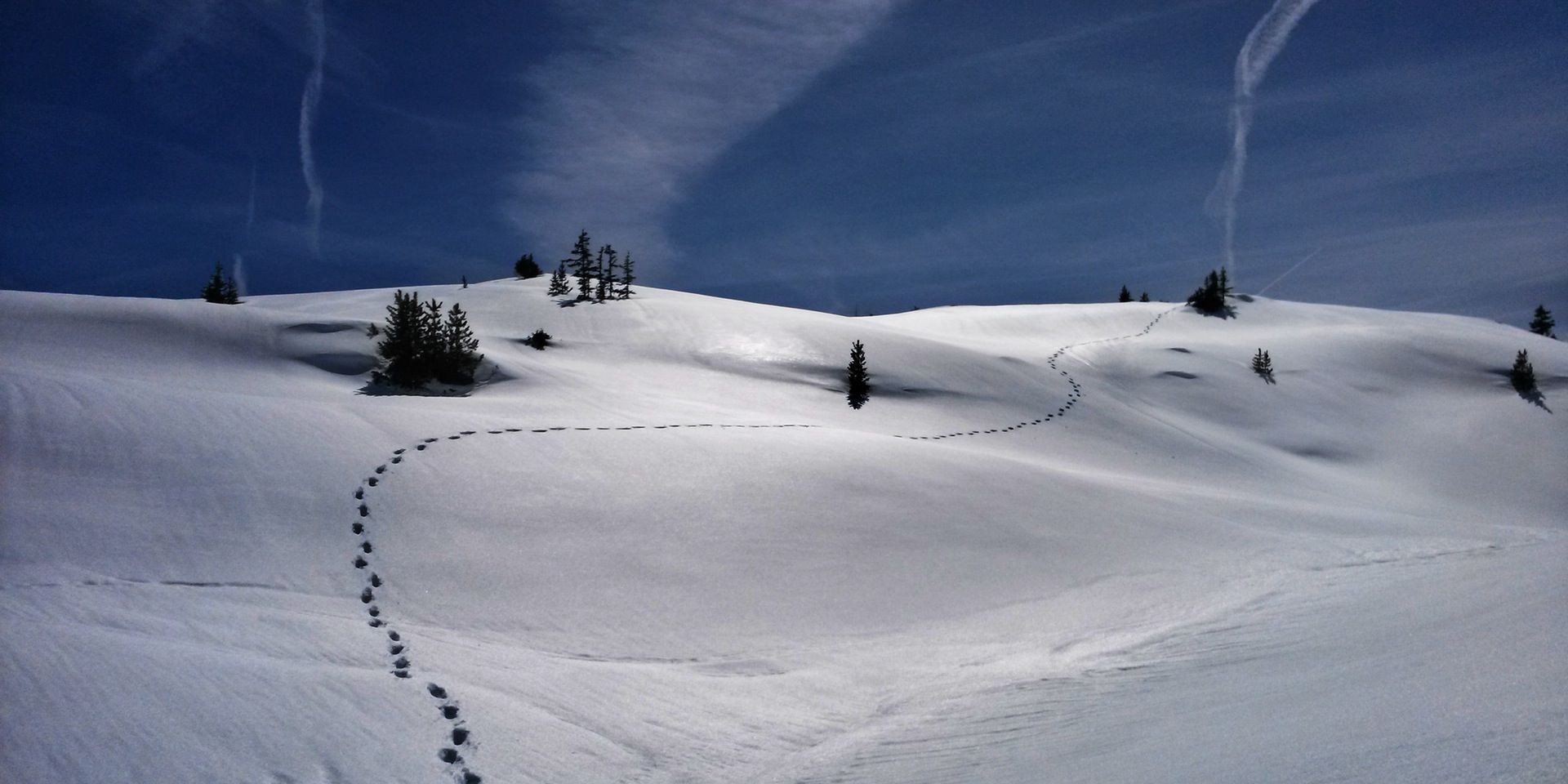 Subvisual | The Trail Behind Me